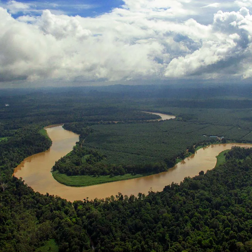 Kinabatangan Wildlife Safari (Overland) | Borneo Tour Specialists